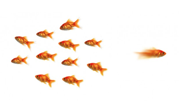 MIX AND MATCH | For A Change by Cynthia Weissbein, PsyD